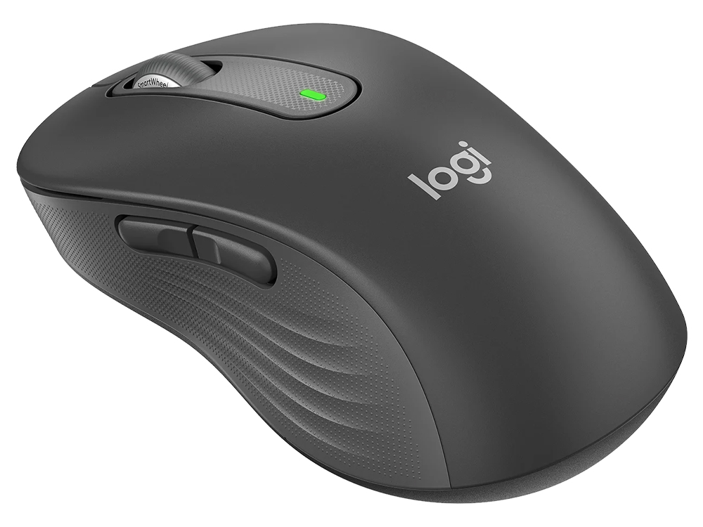 Logitech Signature M650 L Bluetooth Mouse with Logi Bolt USB - Graphite ...